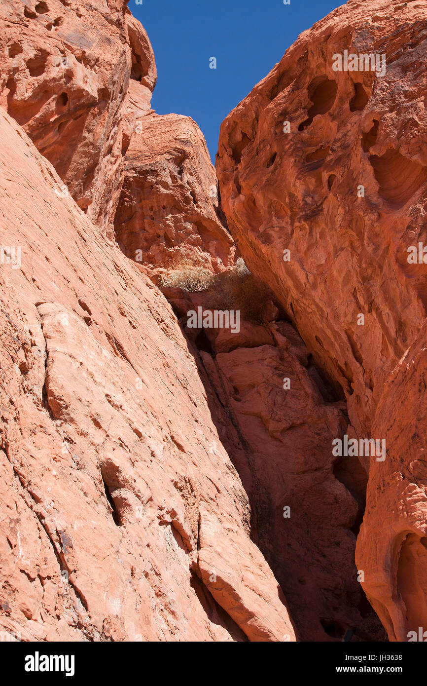 Beautiful red rocks in the desert of Valley of Fire, Nevada, USA Stock ...