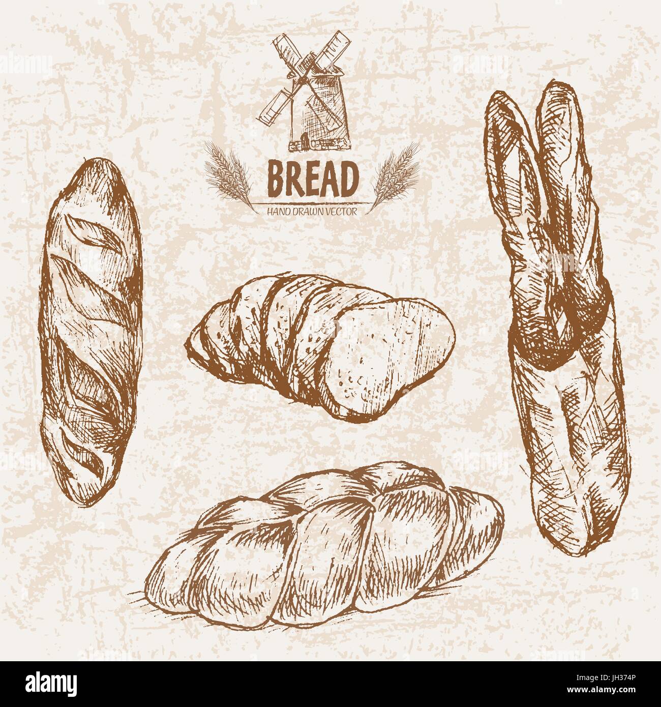Digital vector detailed line art baked bread and dried wheat hand drawn ...