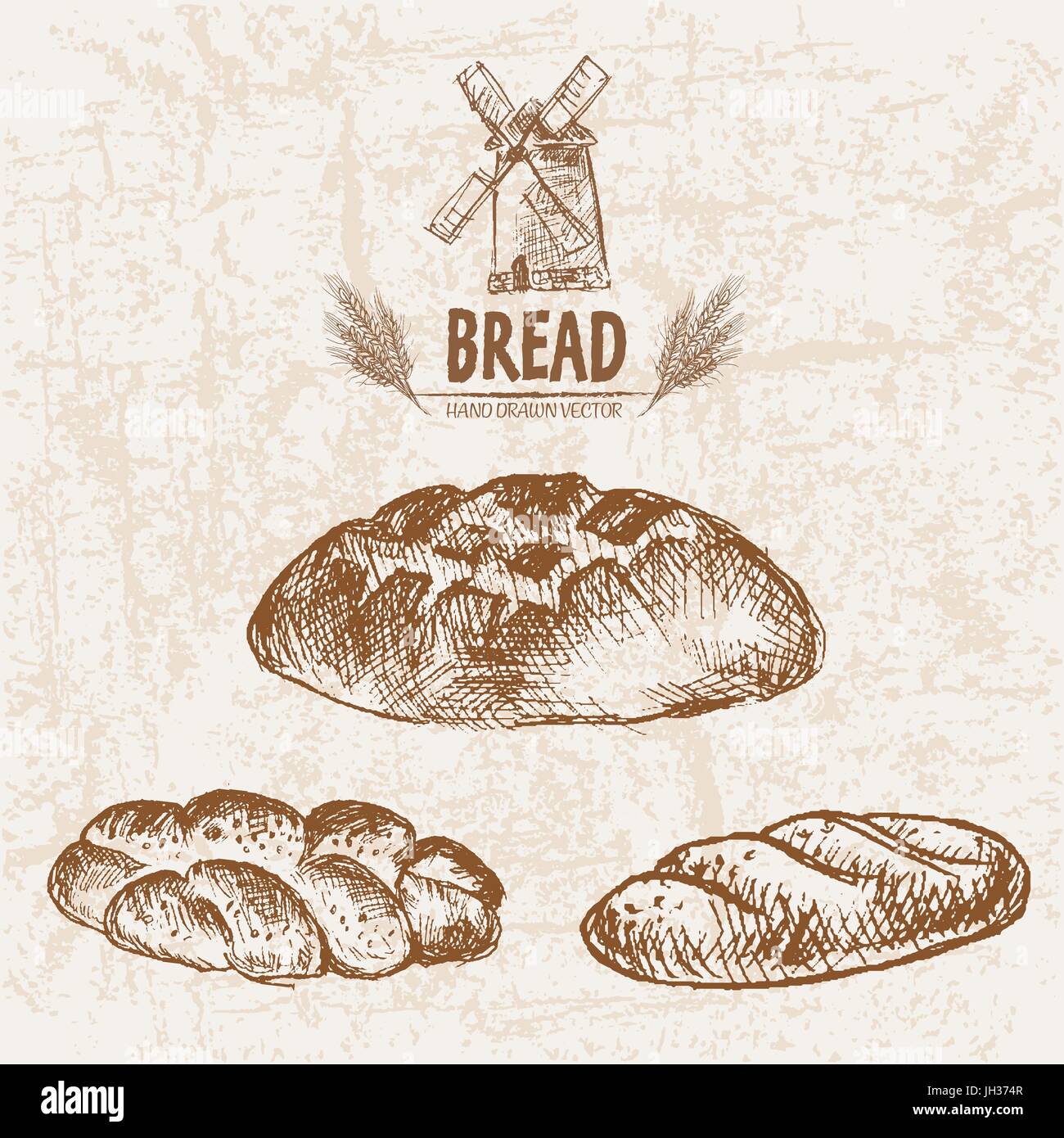 Digital vector detailed line art baked bread and dried wheat hand drawn ...