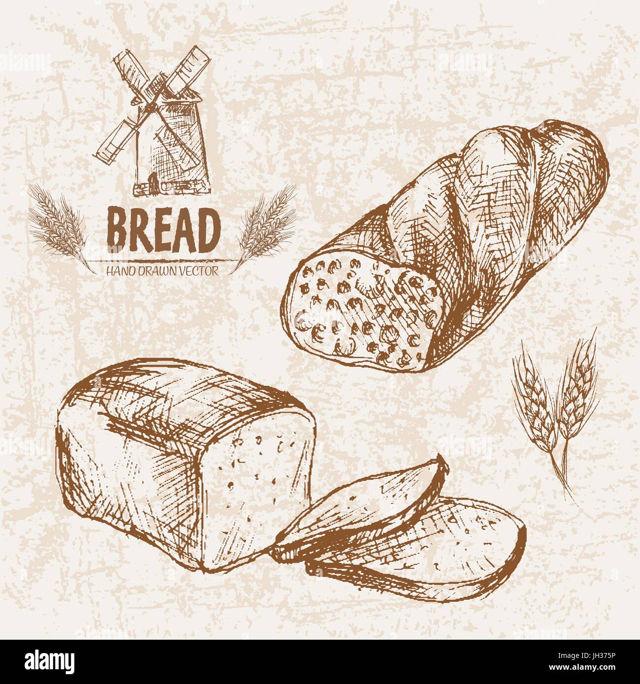 Digital vector detailed line art baked bread and dried wheat hand drawn ...