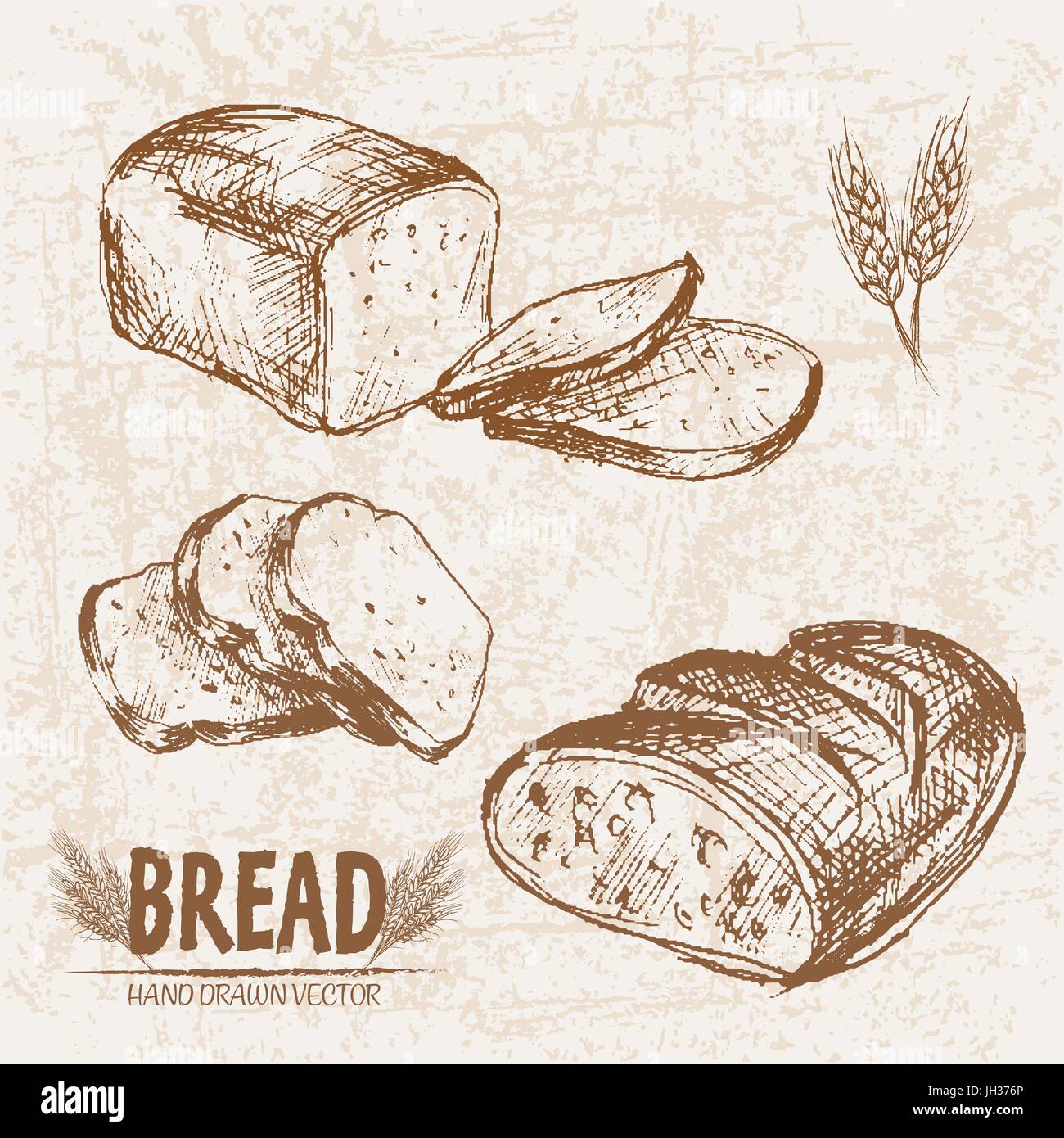 Bread Line Drawing