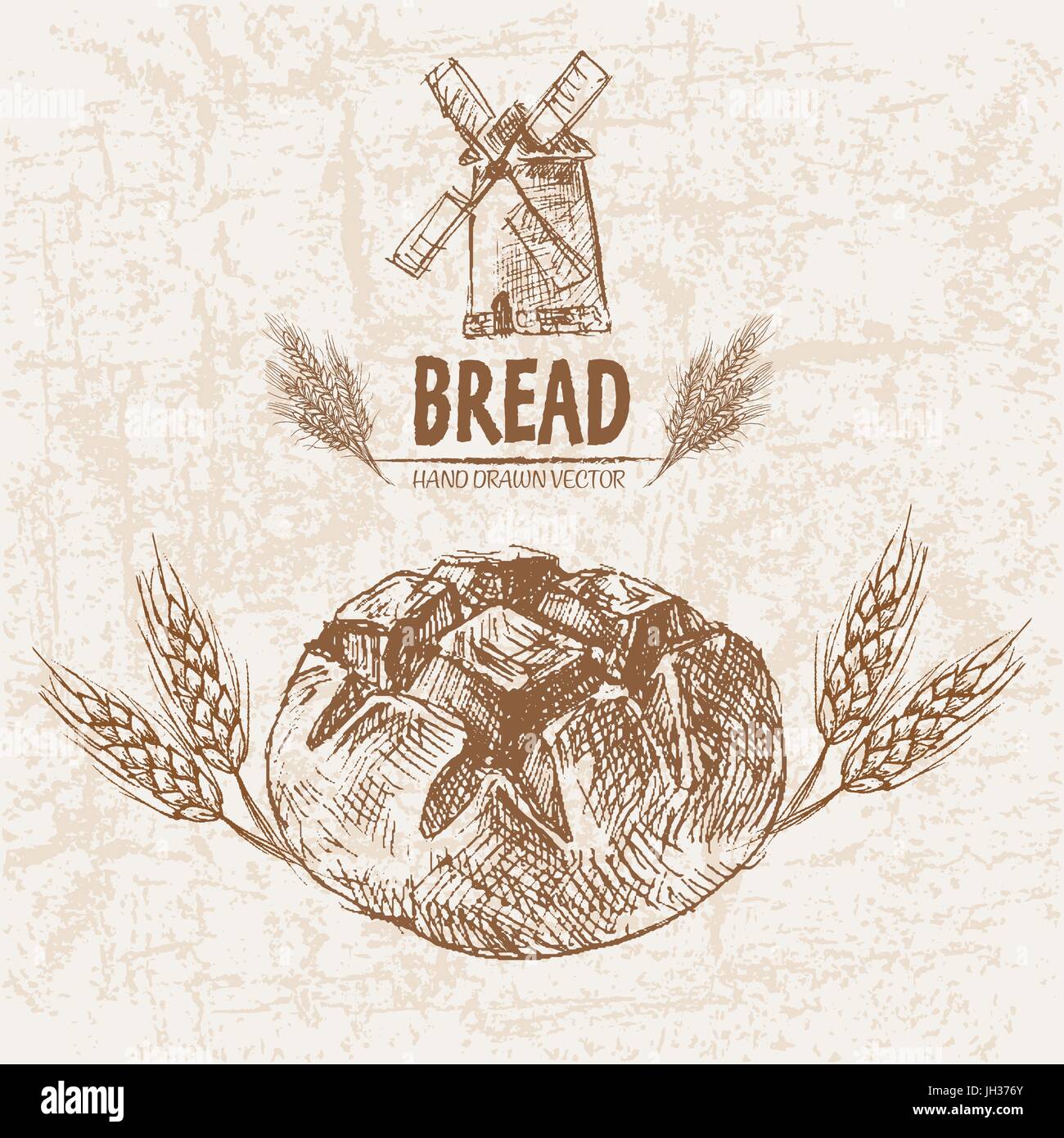 Digital vector detailed line art baked bread and dried wheat hand drawn ...