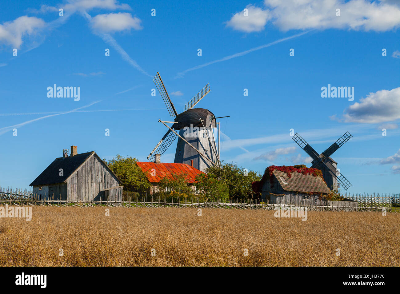 Traditional wooden windmills of Saaremaa island, Estonia. Sunny autumn ...