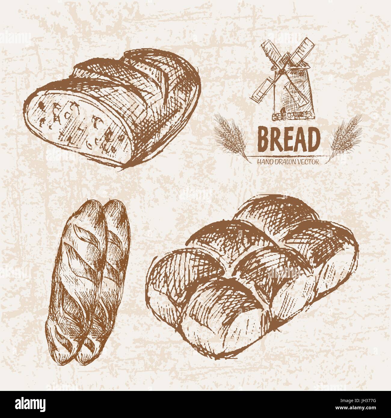 Digital vector detailed line art baked bread and dried wheat hand drawn ...