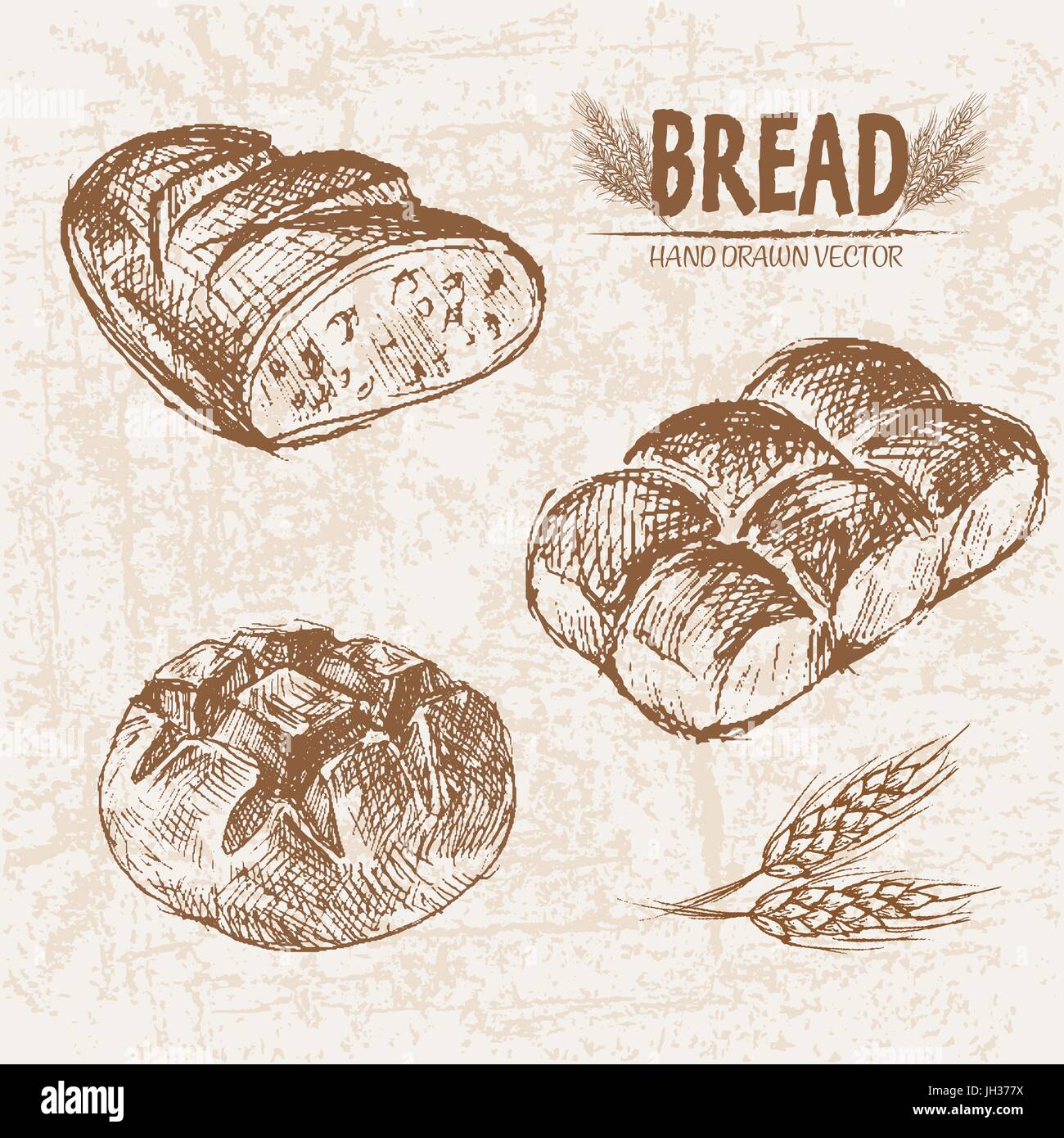 Digital vector detailed line art baked bread and dried wheat hand drawn ...