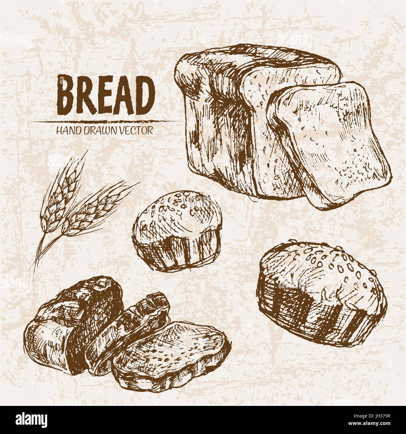 Digital vector detailed line art baked bread and dried wheat hand drawn ...