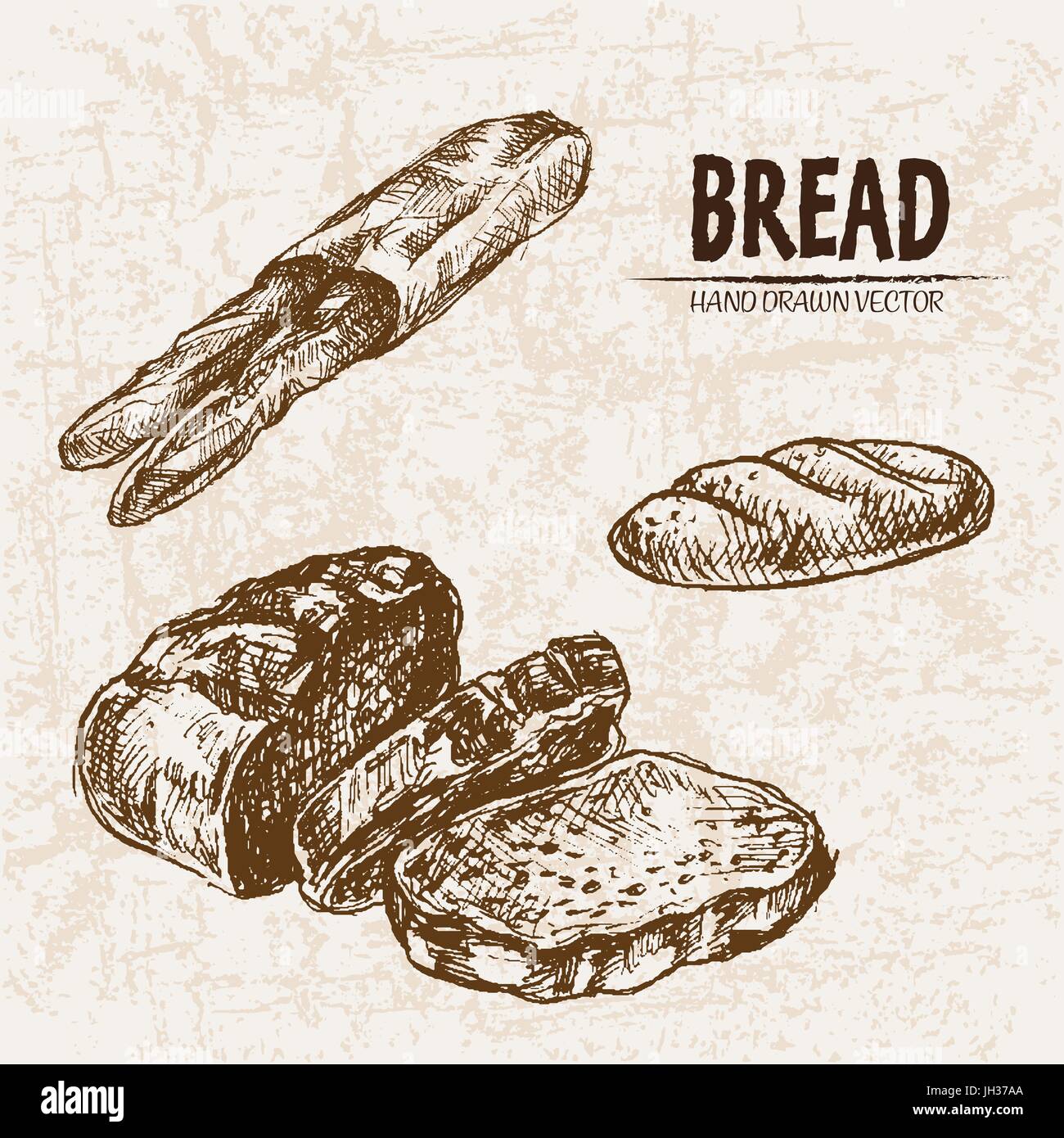 Digital vector detailed line art baked bread and dried wheat hand drawn ...