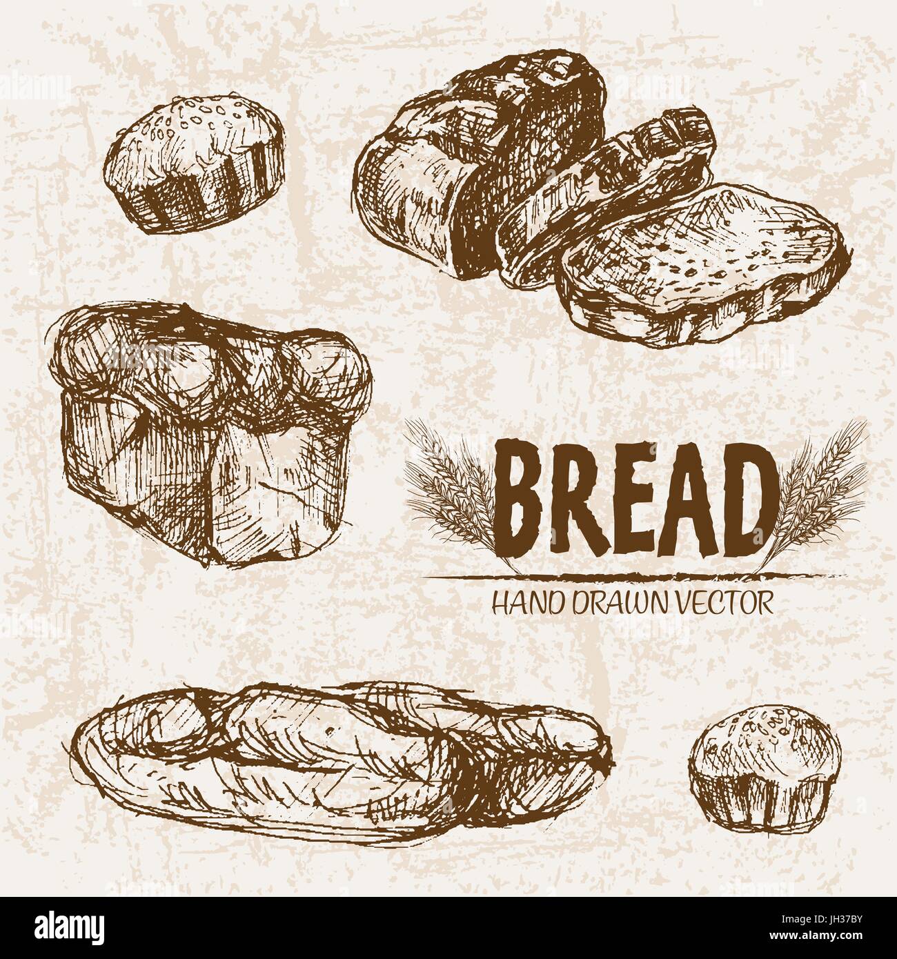 Digital vector detailed line art baked bread and dried wheat hand drawn ...