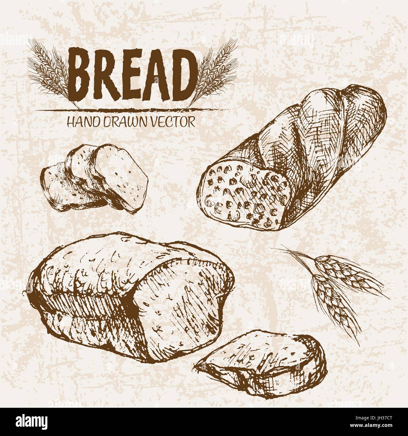 Digital vector detailed line art baked bread and dried wheat hand drawn ...