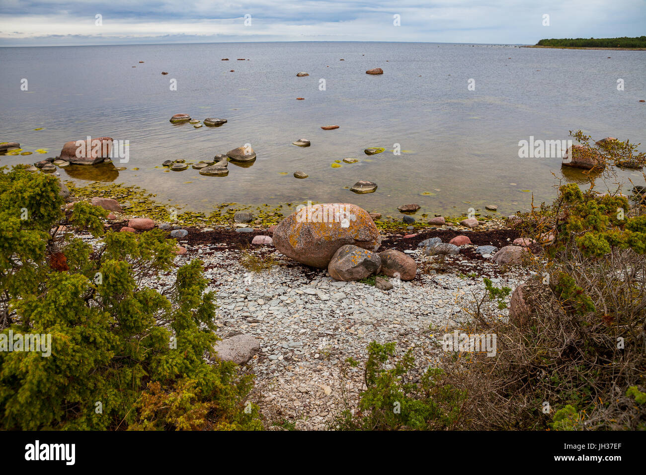 Beautiful rocky sea shore. Baltic limestone cliff Stock Photo - Alamy