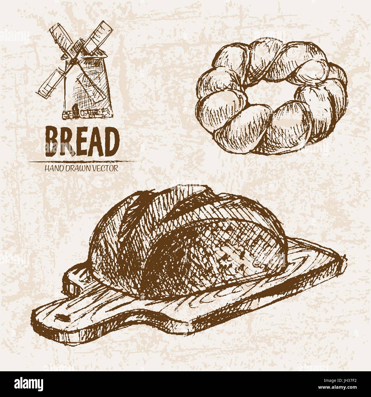 Digital vector detailed line art baked bread and dried wheat hand drawn ...