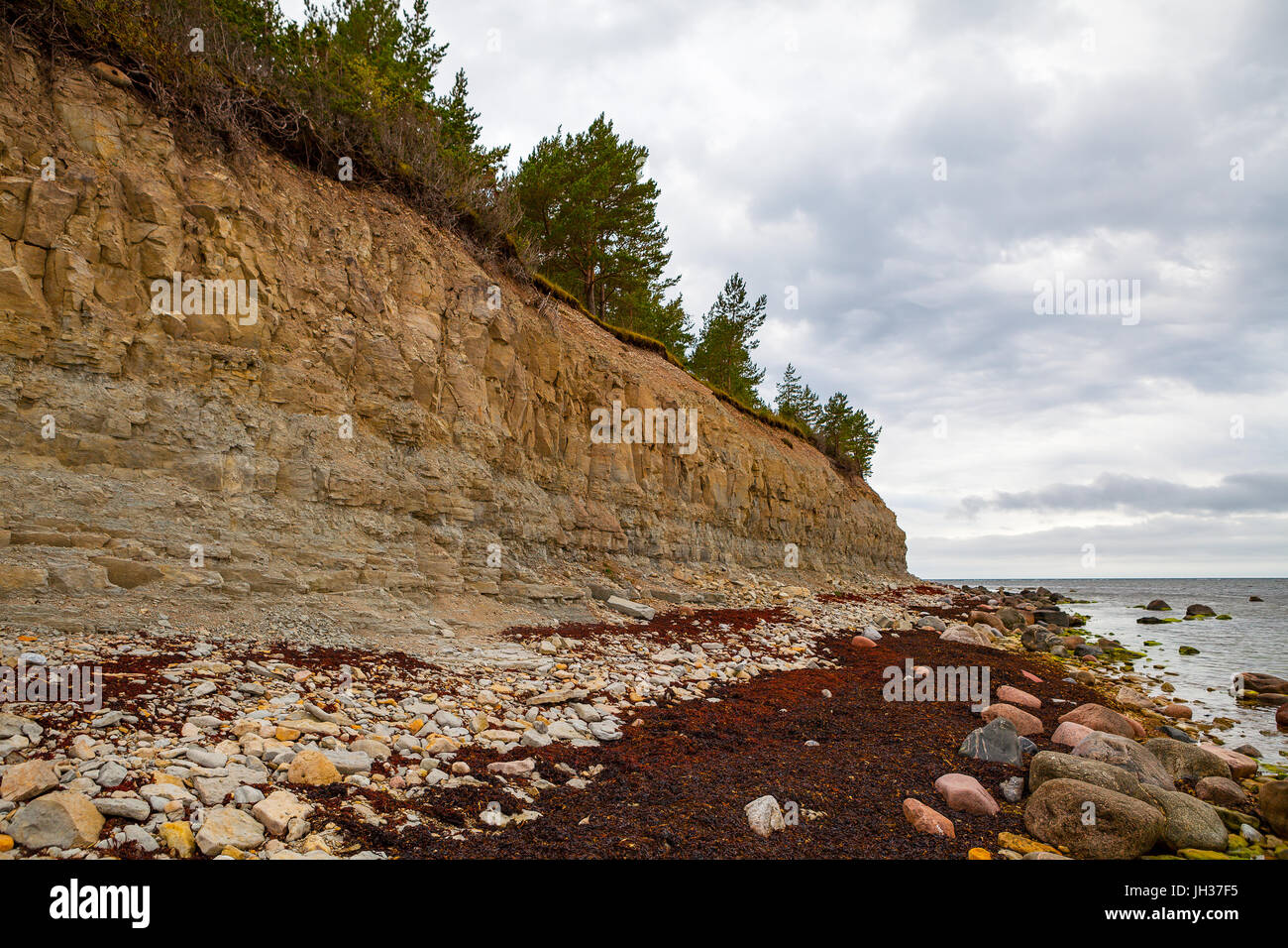 Beautiful rocky sea shore. Baltic limestone cliff Stock Photo - Alamy