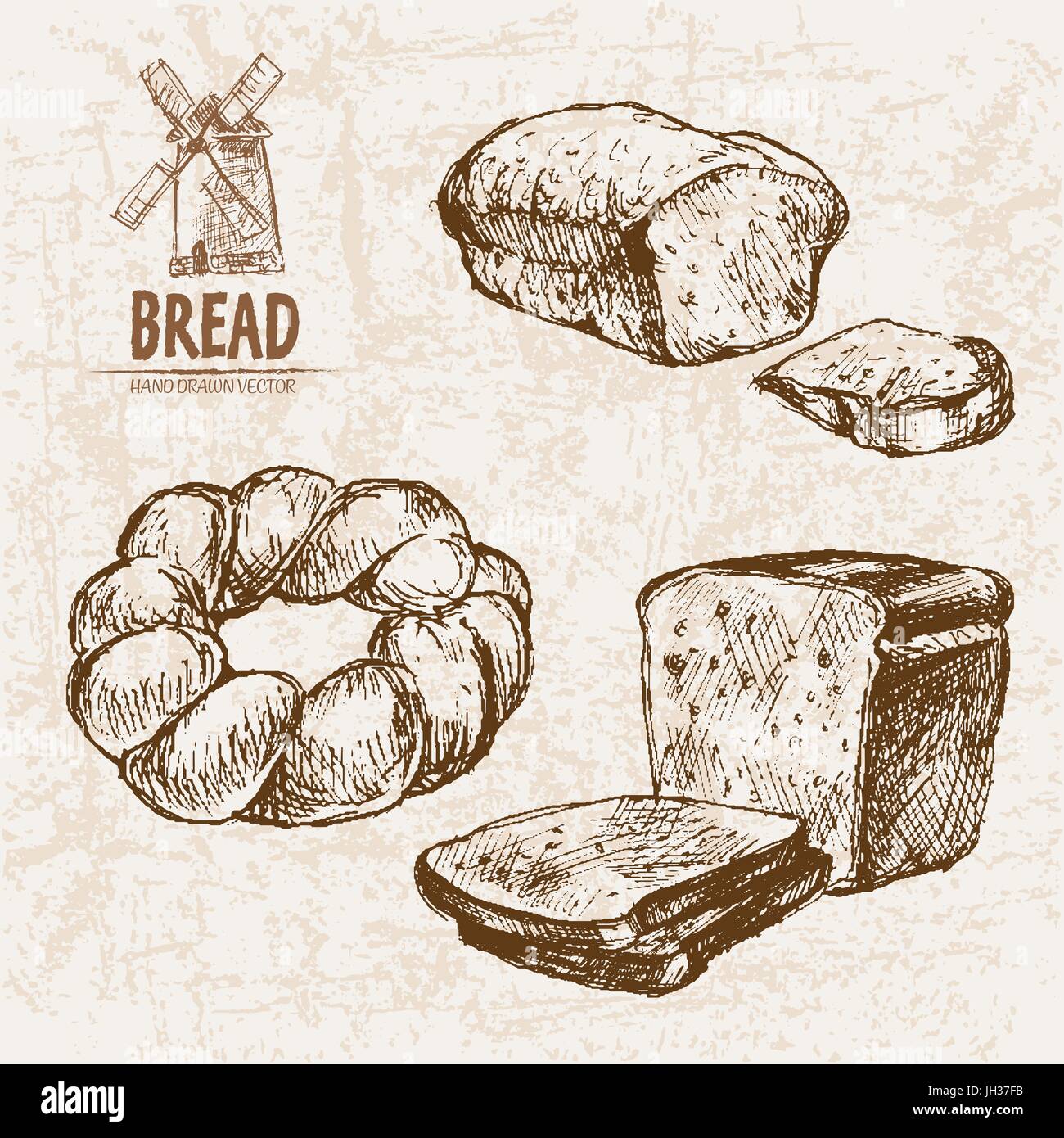 Digital vector detailed line art baked bread and dried wheat hand drawn ...