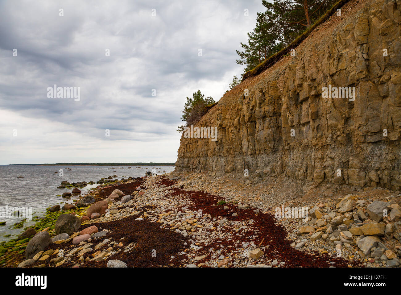 Beautiful rocky sea shore. Baltic limestone cliff Stock Photo - Alamy
