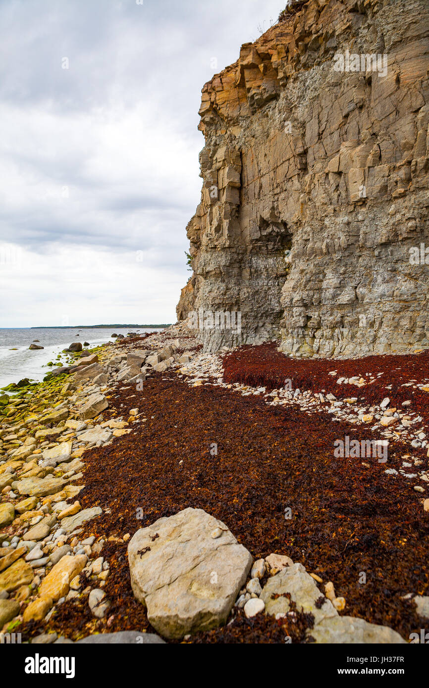 Beautiful rocky sea shore. Baltic limestone cliff Stock Photo - Alamy