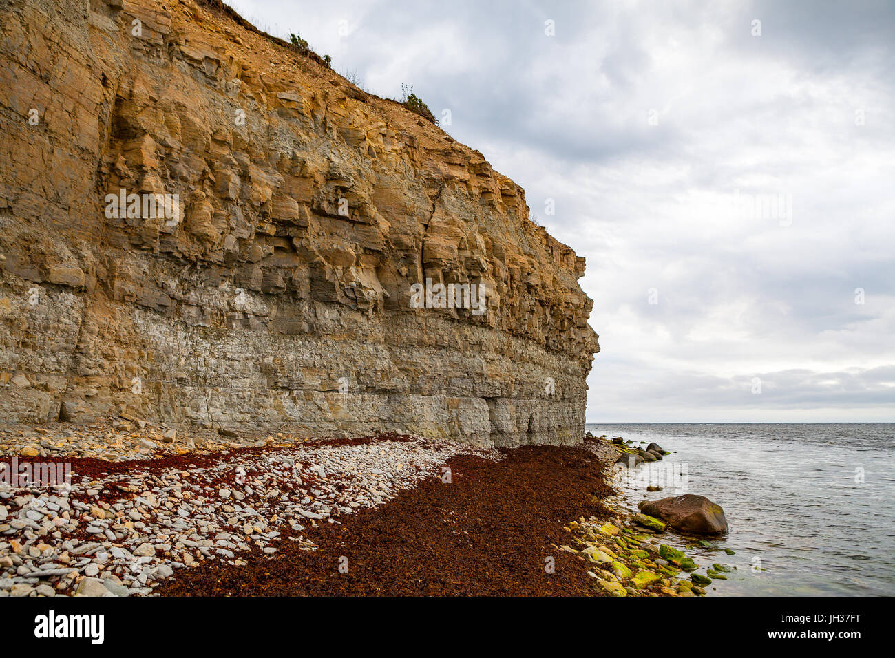 Beautiful rocky sea shore. Baltic limestone cliff Stock Photo - Alamy