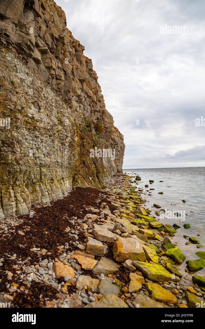 Beautiful rocky sea shore. Baltic limestone cliff Stock Photo - Alamy