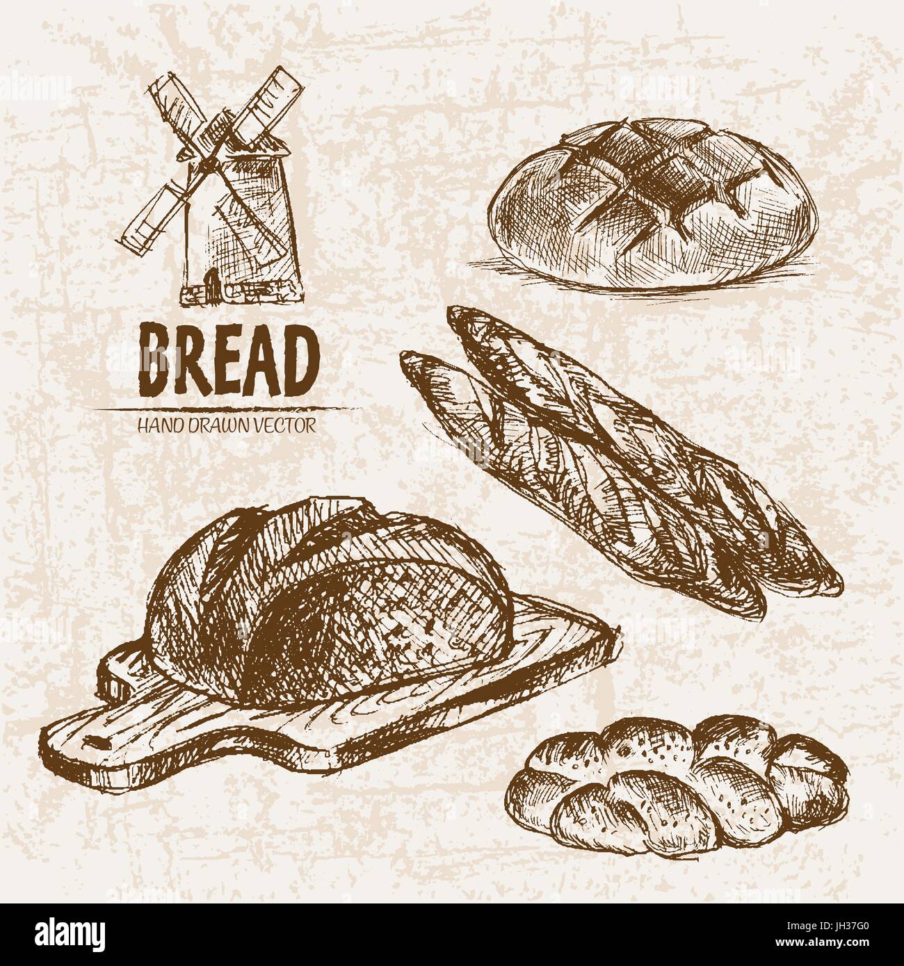 Digital vector detailed line art baked bread and dried wheat hand drawn ...