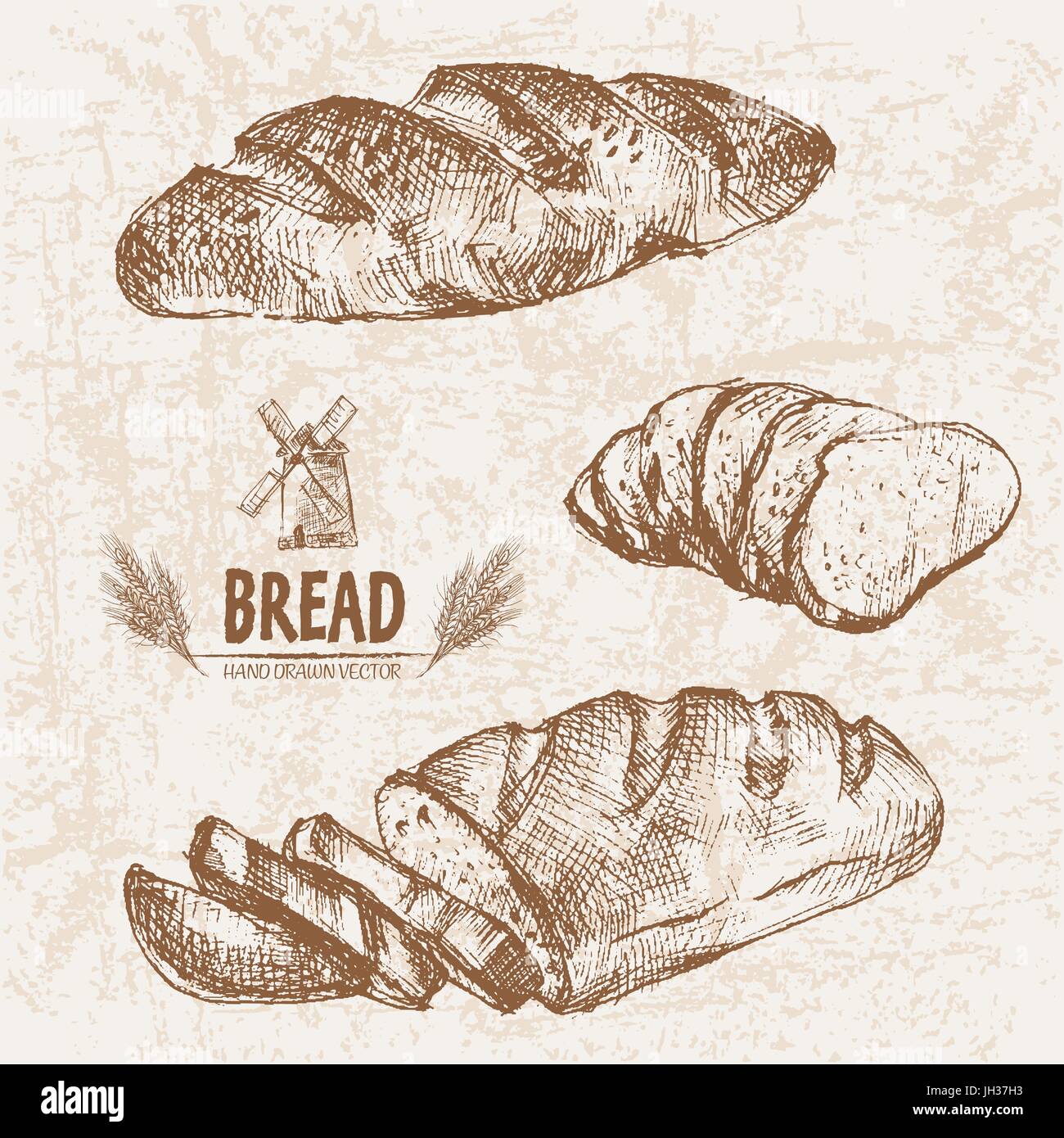 Digital vector detailed line art baked bread and dried wheat hand drawn ...