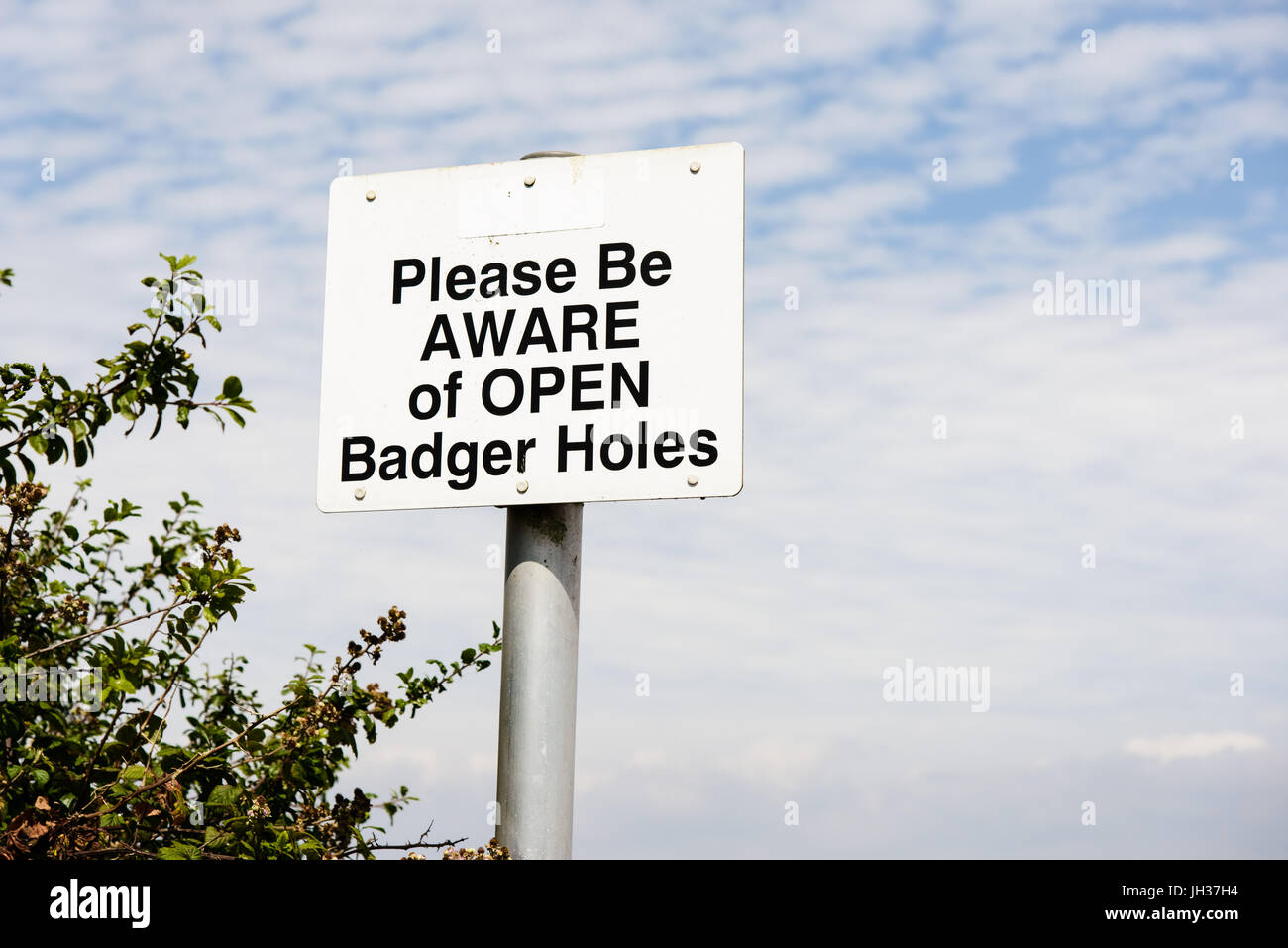 Beware of Badger Signs Stock Photo - Alamy