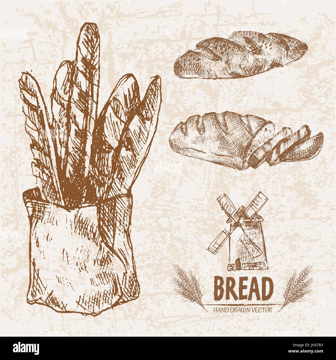 Digital vector detailed line art baked bread and dried wheat hand drawn ...