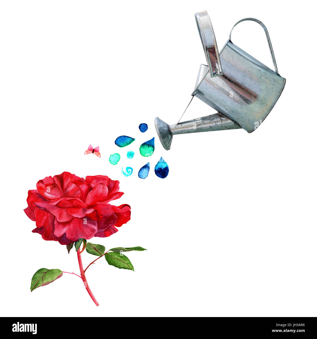 A collage of watercolor drawings and a photo cutout. A watering can ...