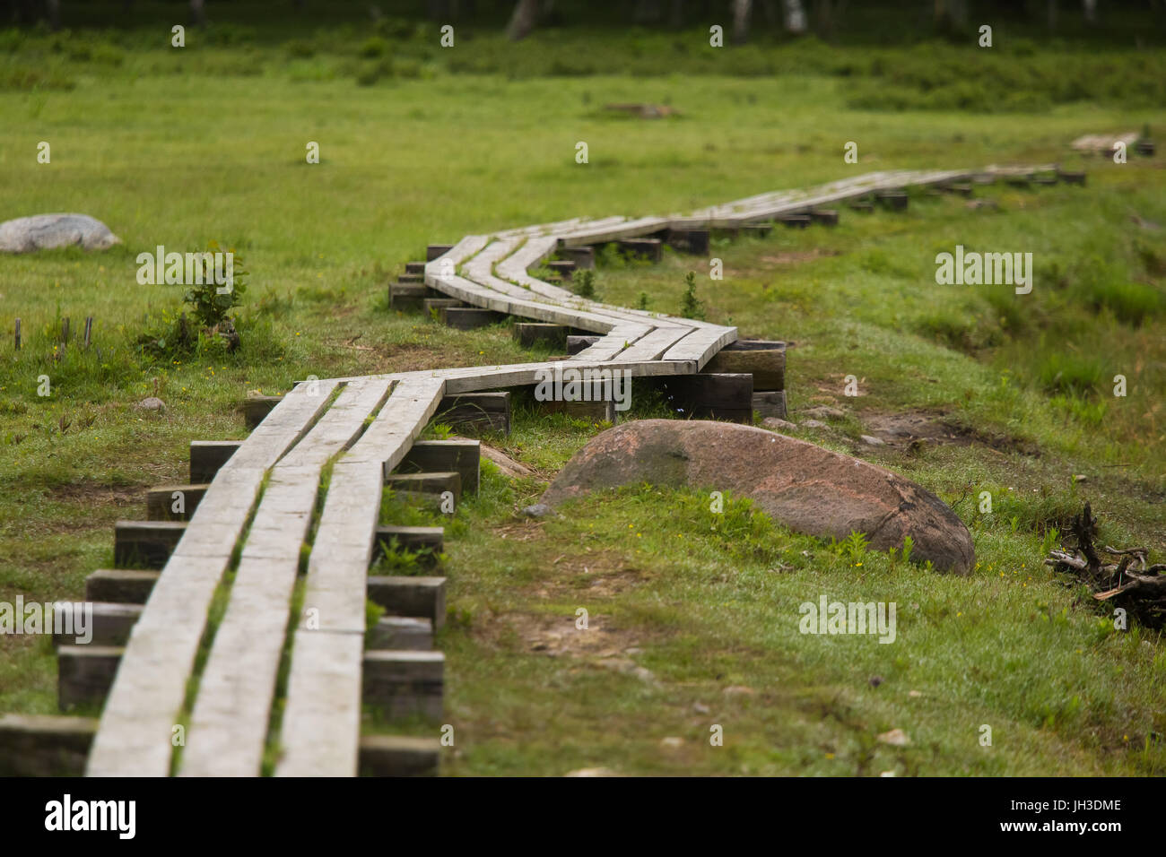 A beautiful wooden footpath in a marsh natural park Stock Photo - Alamy