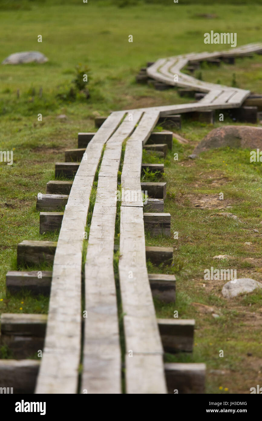 A beautiful wooden footpath in a marsh natural park Stock Photo - Alamy