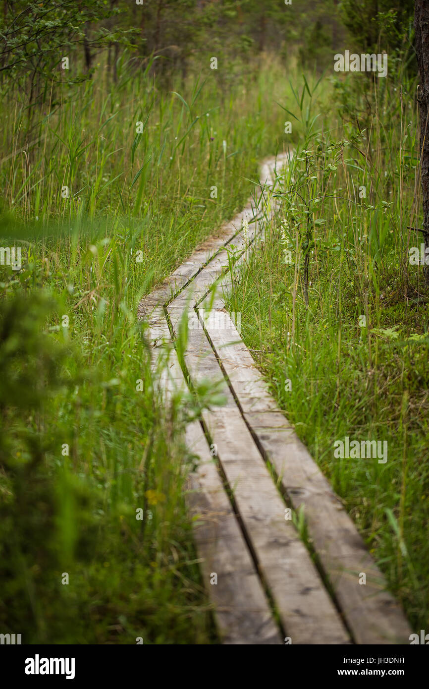 A beautiful wooden footpath in a marsh natural park Stock Photo - Alamy