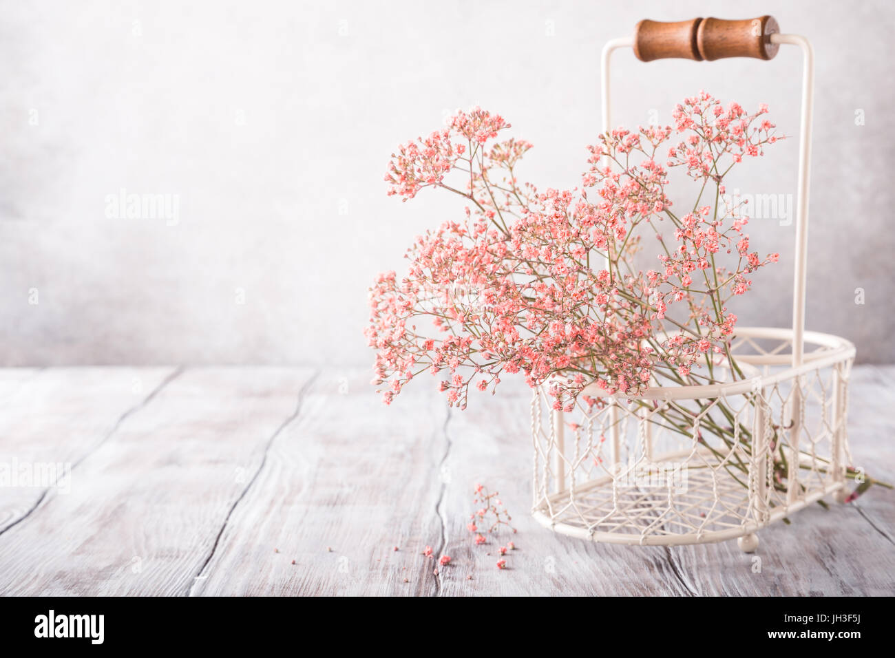 Gypsophila hi-res stock photography and images - Alamy