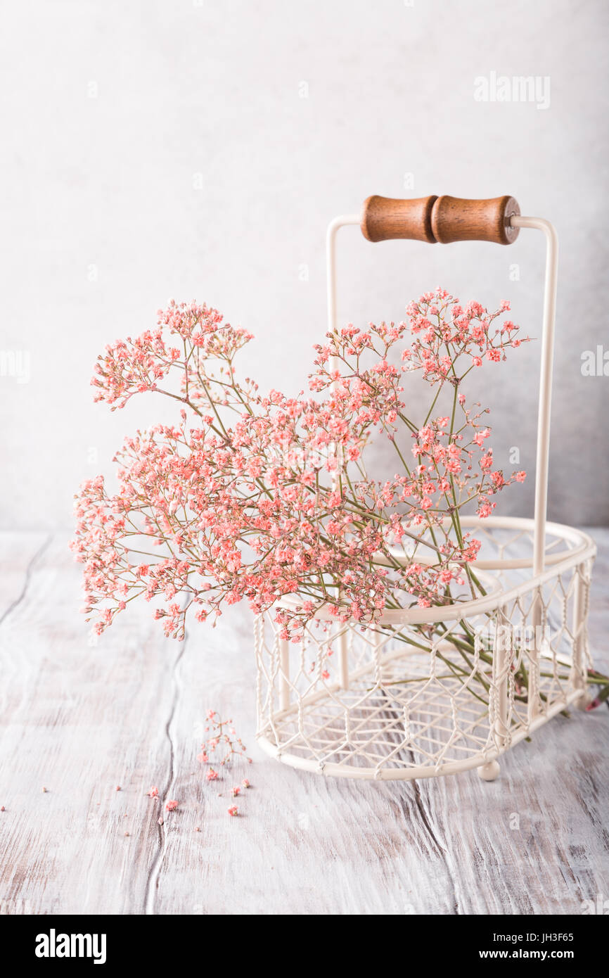 Gypsophila High Resolution Stock Photography and Images - Alamy