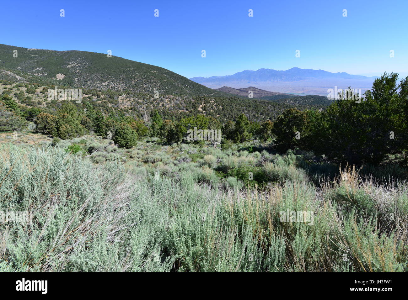 The Great Basin National park in Nevada Stock Photo - Alamy