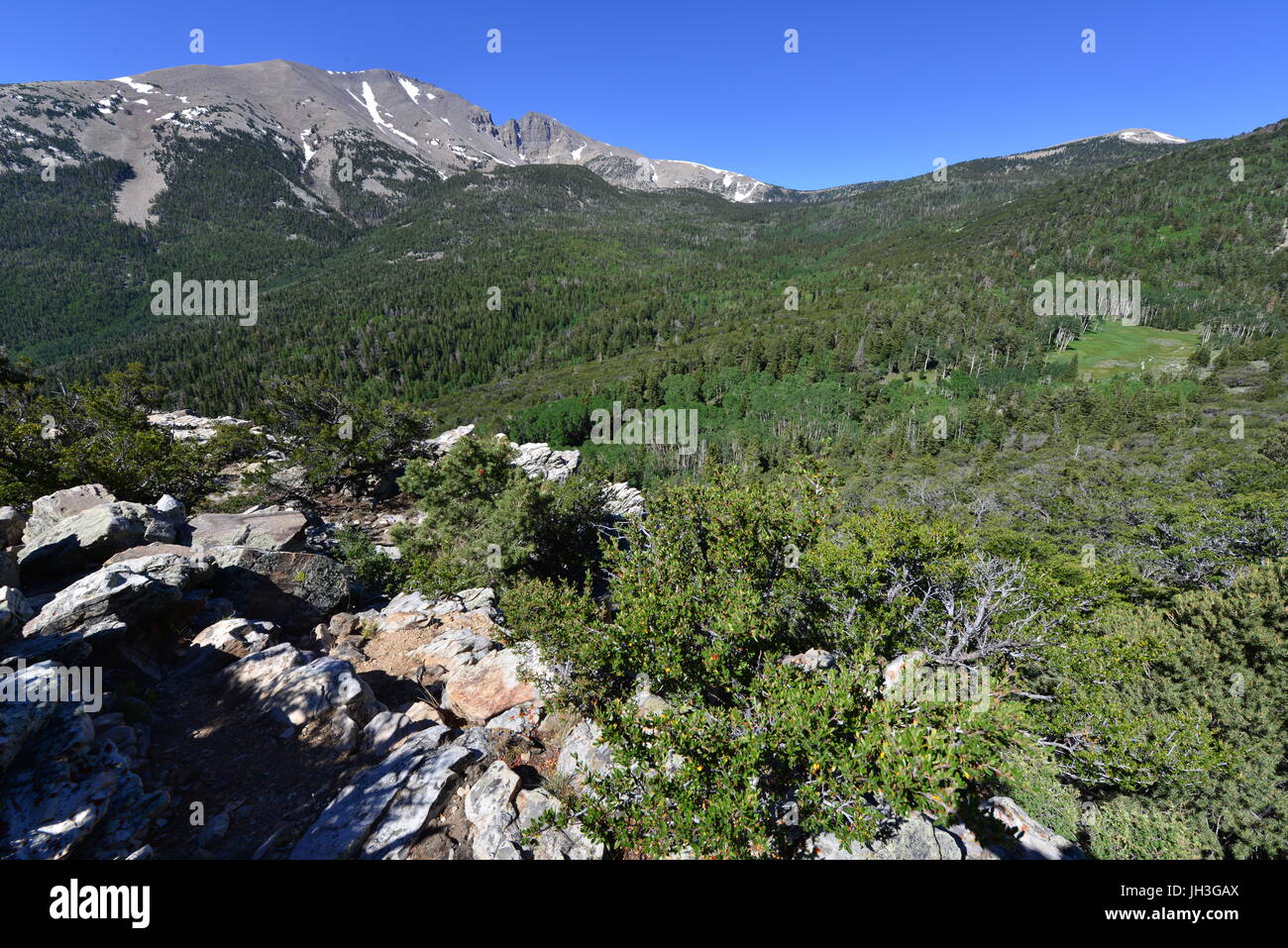 The Great Basin National park in Nevada Stock Photo - Alamy