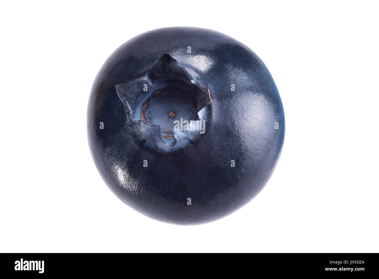 Single blueberry or huckleberry on white background. Studio shoot Stock ...