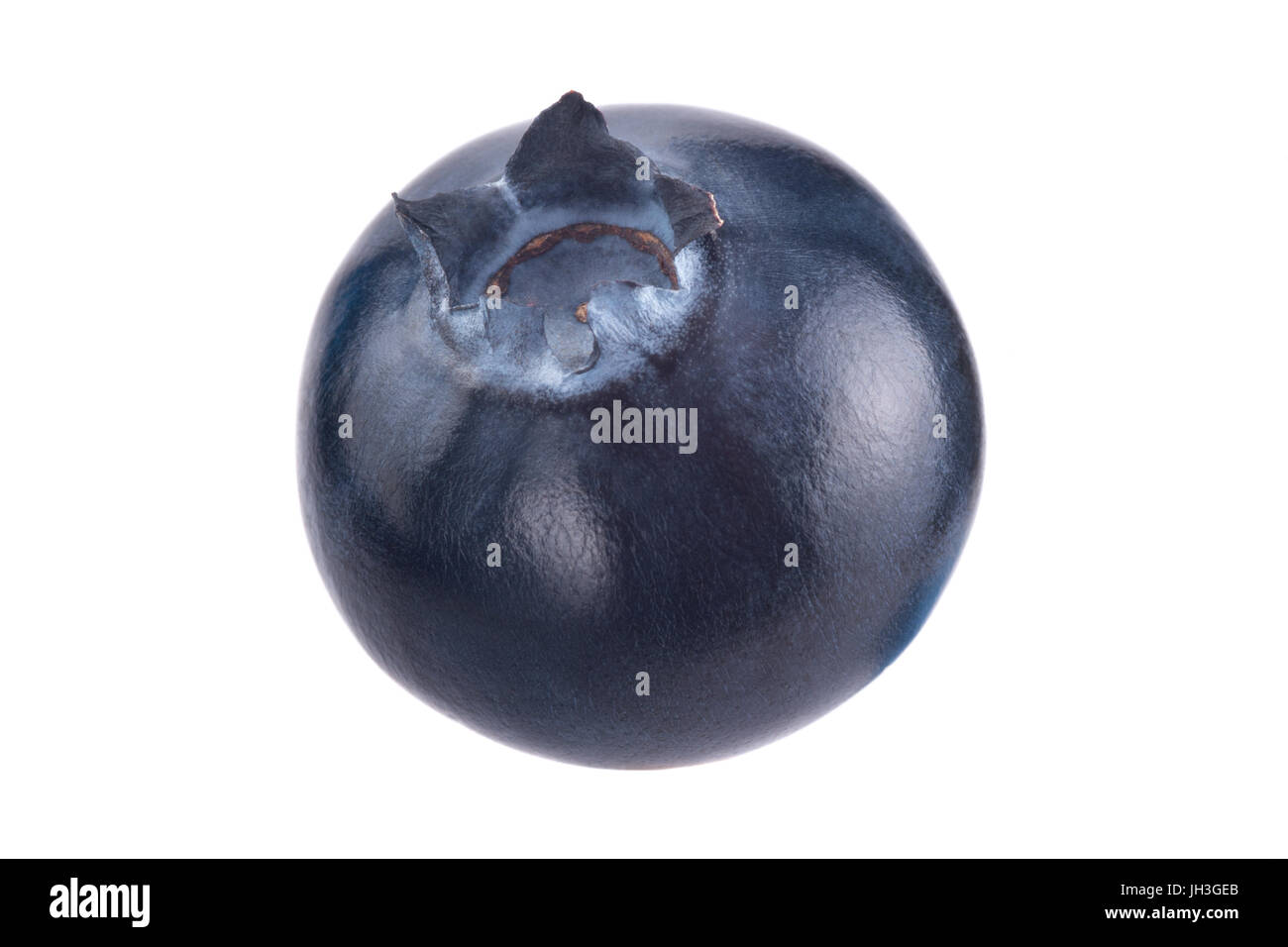 Single blueberry or huckleberry on white background. Studio shoot Stock ...