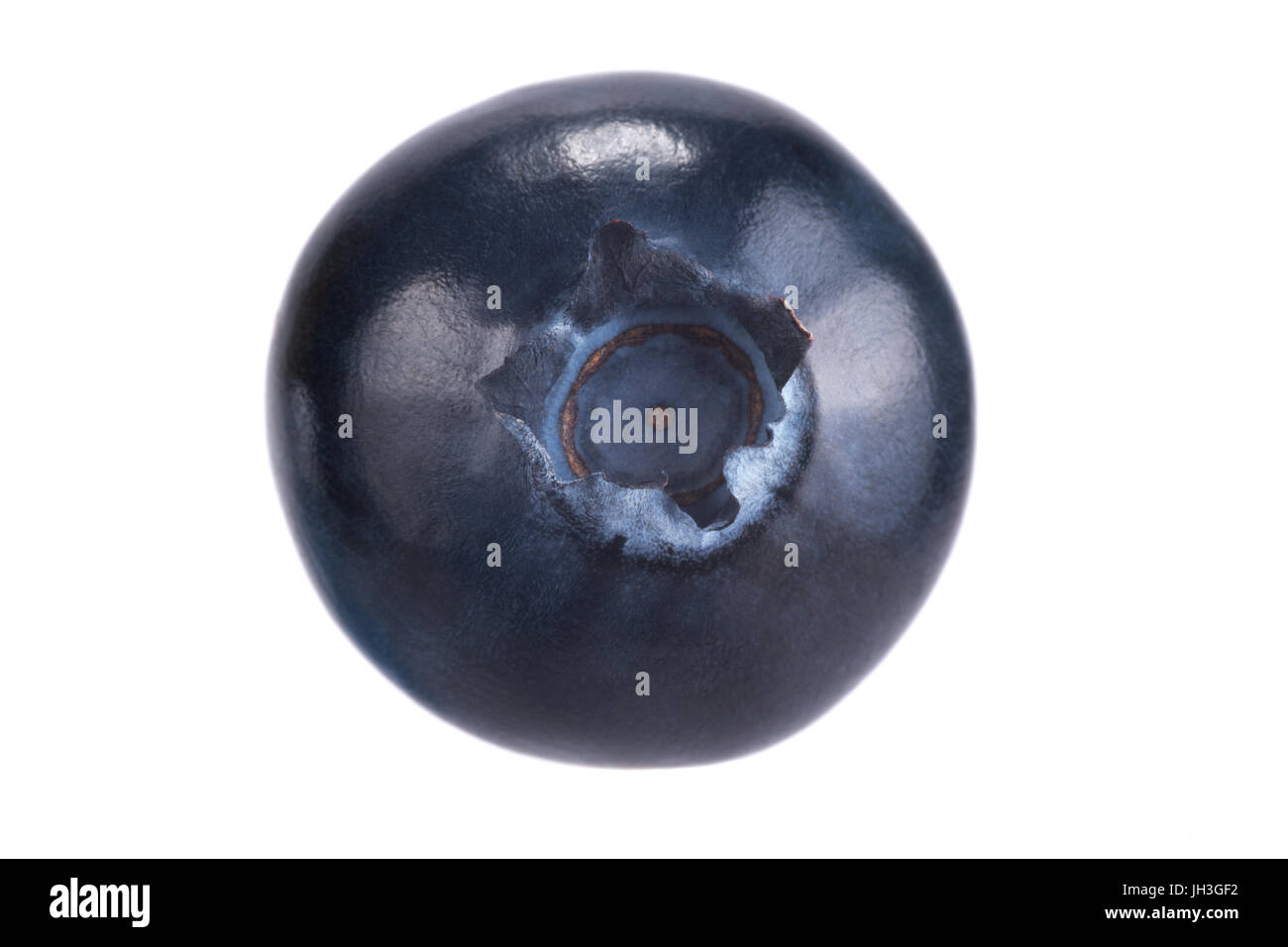 Single blueberry or huckleberry on white background. Studio shoot Stock ...