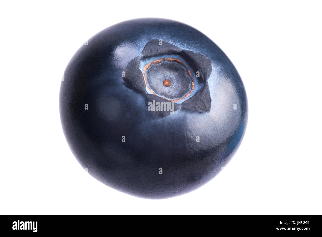 Single blueberry or huckleberry on white background. Studio shoot Stock ...