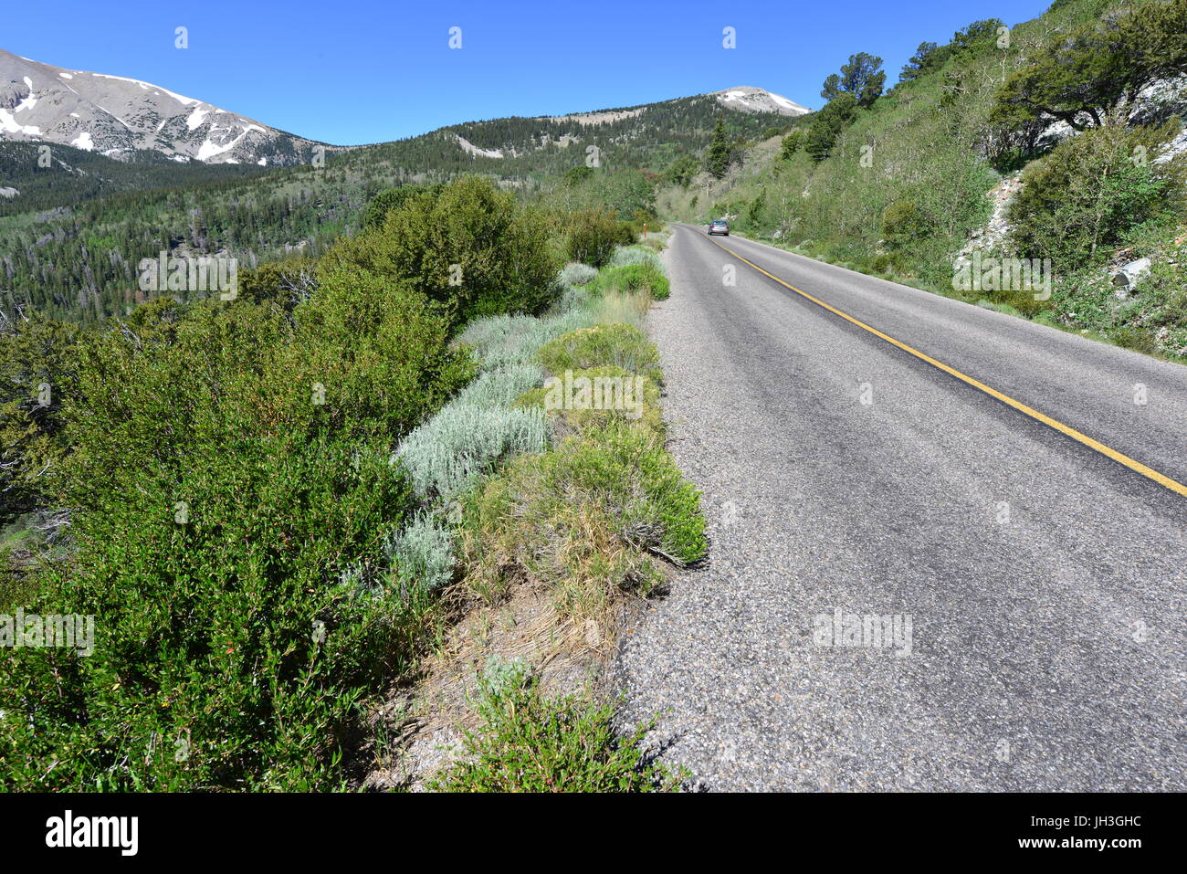 The Great Basin National park in Nevada Stock Photo - Alamy