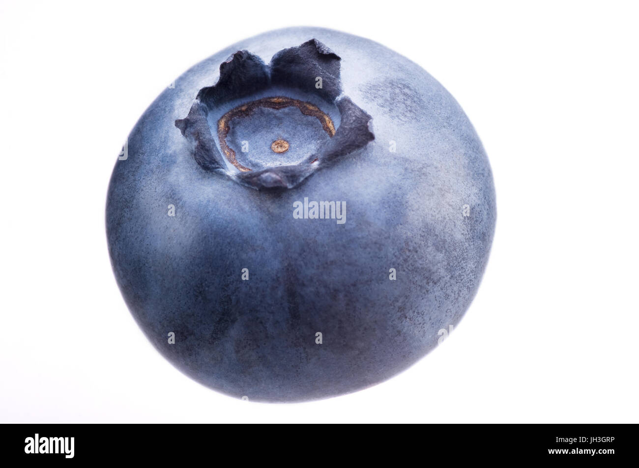 Huckleberry Cut Out Stock Images & Pictures - Alamy