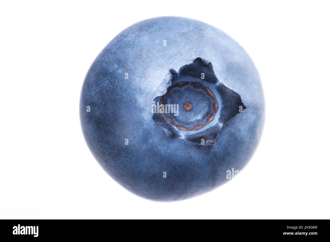 Single blueberry or huckleberry on white background. Studio shoot Stock ...