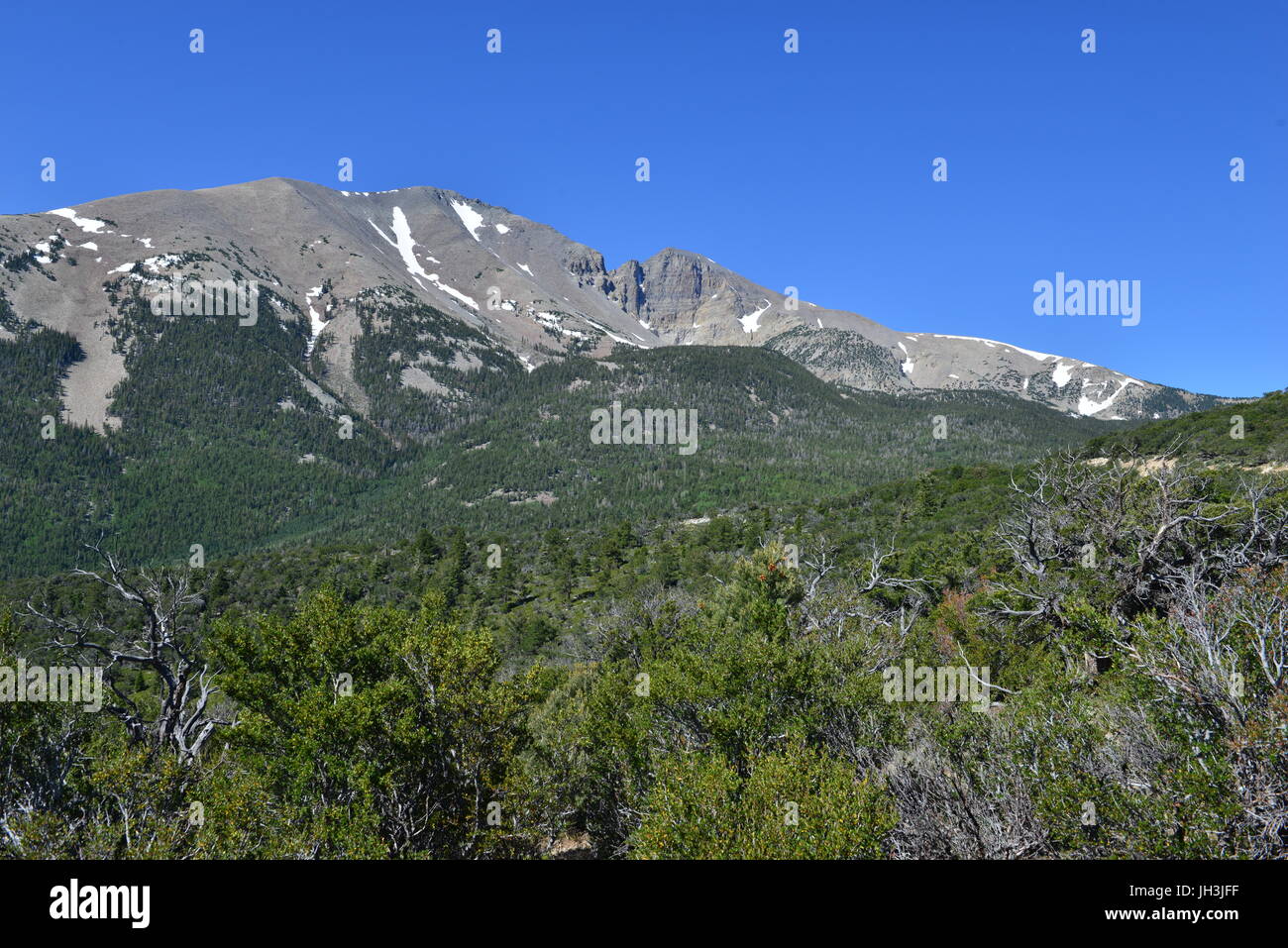 The Great Basin National park in Nevada Stock Photo - Alamy