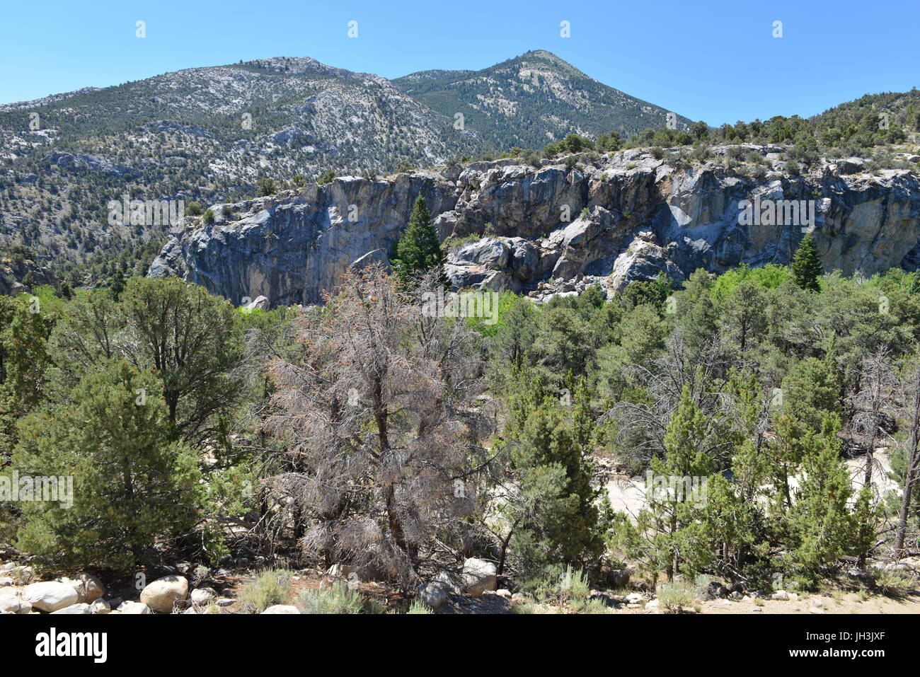 The Great Basin National park in Nevada Stock Photo - Alamy