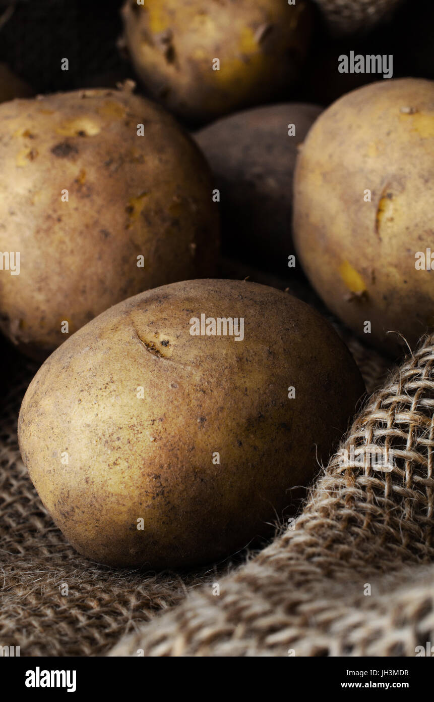 Gardening basics hi-res stock photography and images - Alamy