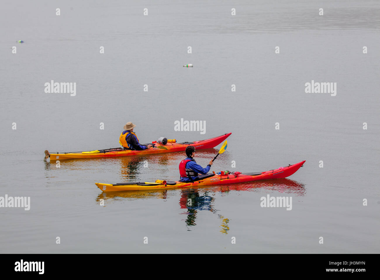 Two people paddling kayaks hi-res stock photography and images - Alamy