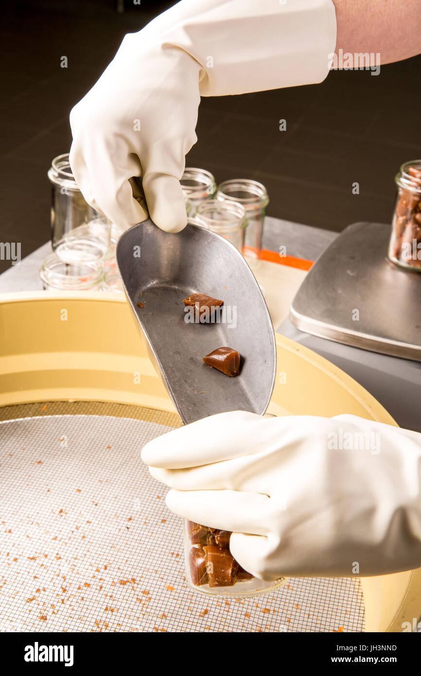 Artisanal production of caramel toffee sweets butterscotch candies ...