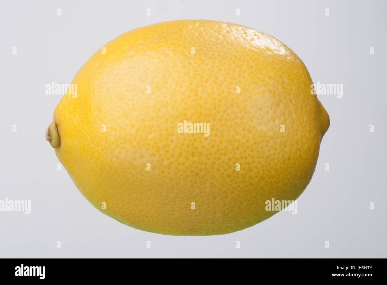 Lemon isolated on white background. Studio Shoot Stock Photo - Alamy