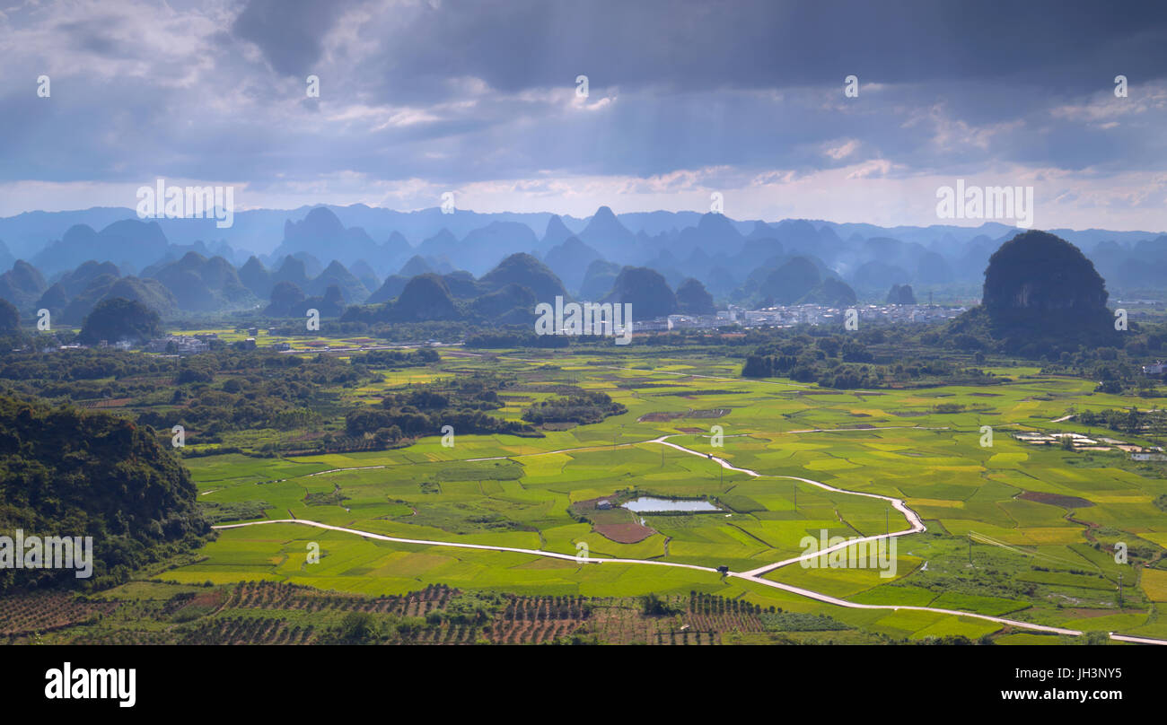 Guilin rice paddy hi-res stock photography and images - Alamy