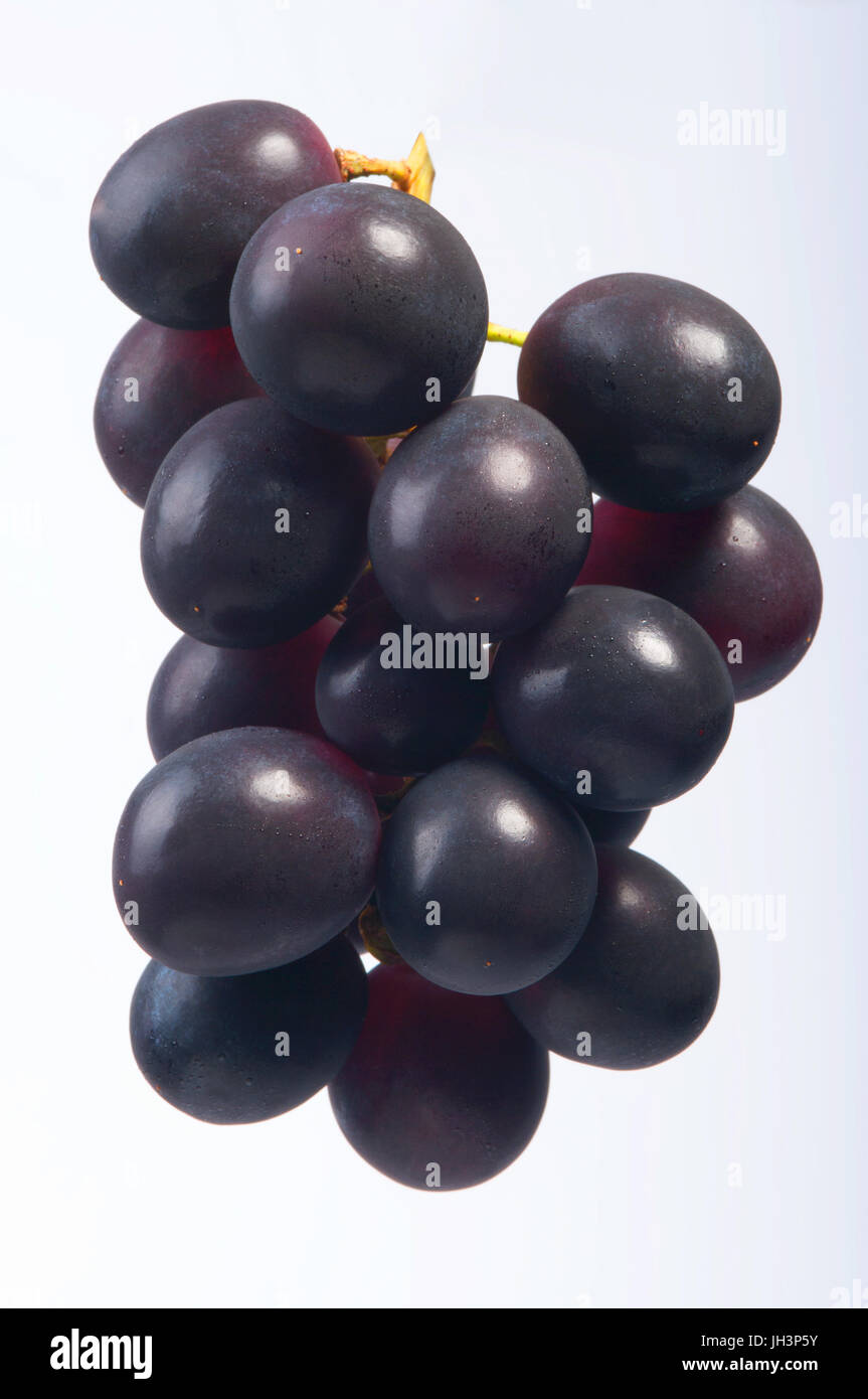 Closeup ripe grapes water droplets hi-res stock photography and images ...