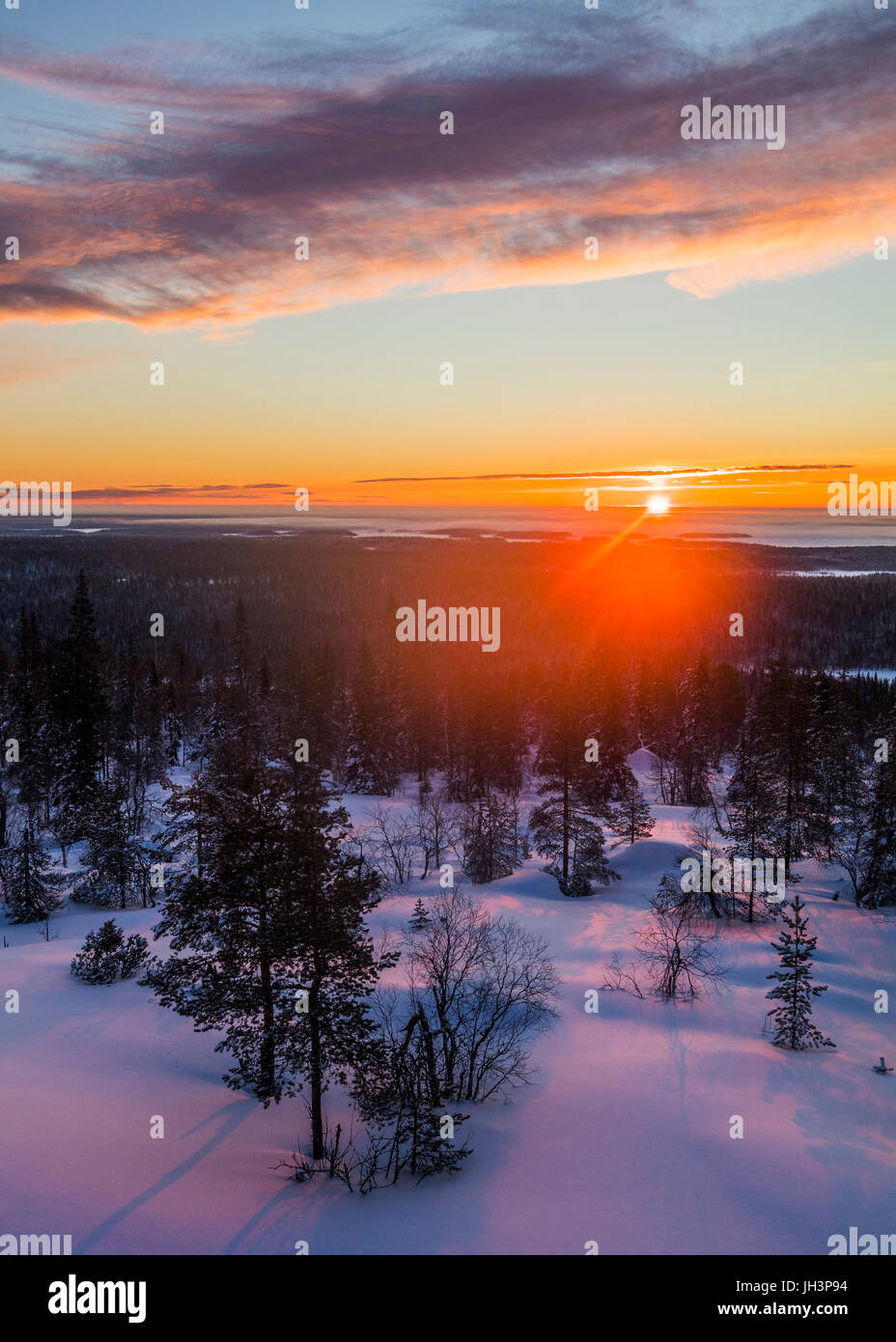 Finnish forest in early winter hi-res stock photography and images - Alamy