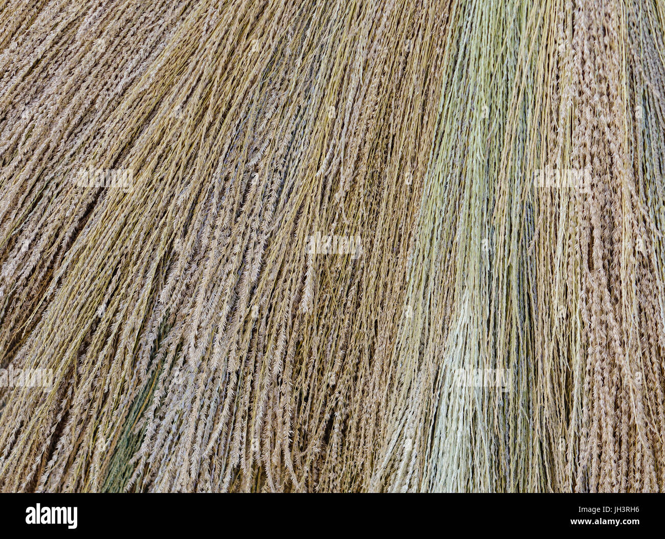 Dried grass texture. Grass for decoration at the rural house in Vietnam ...